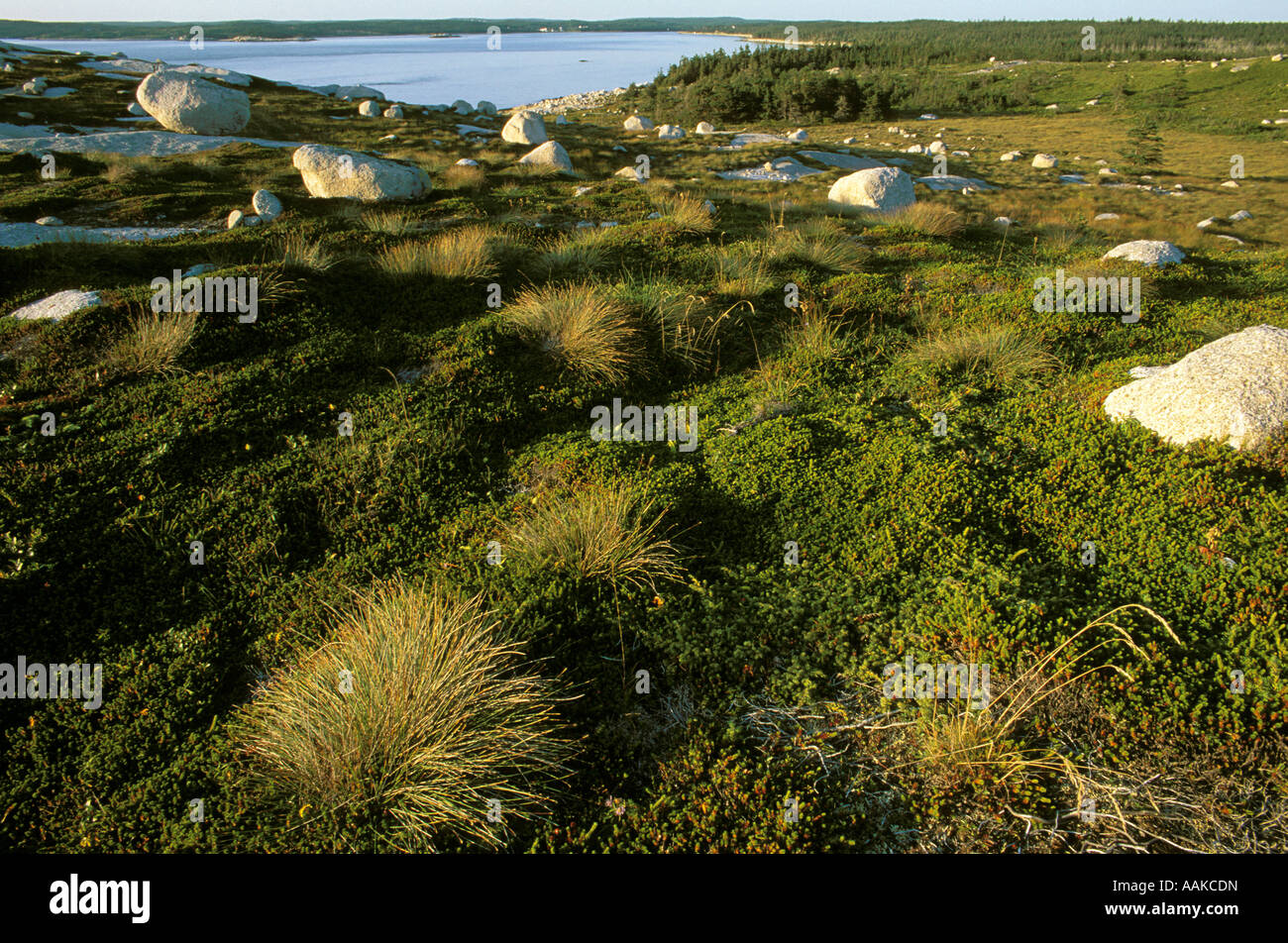 Glacial till boulders Pennant Point Nova Scotia Canada Stock Photo - Alamy