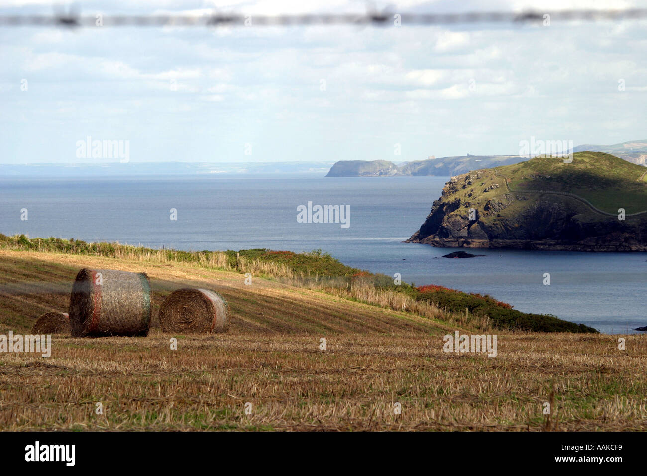 Port Quin Bay Stock Photo - Alamy