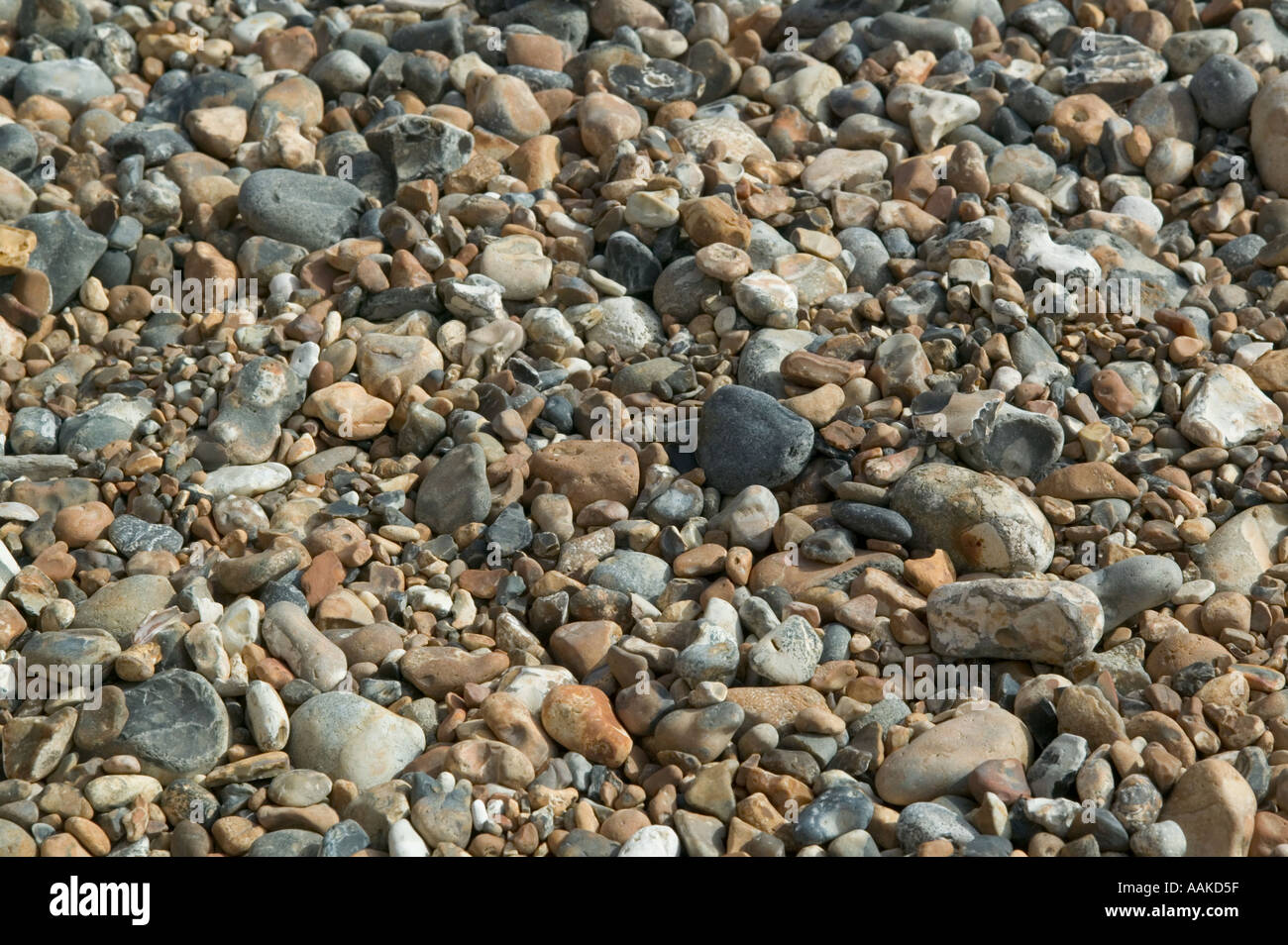 Pebbles Brighton East Sussex Stock Photo - Alamy