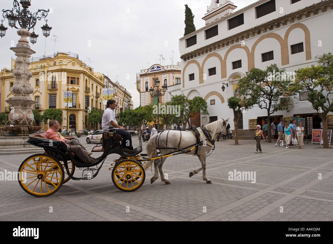 The Carriage Stock Photos & The Carriage Stock Images - Alamy