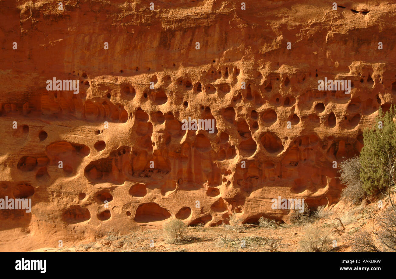 Honeycomb erosion Capitol Reef National Park Utah Stock Photo - Alamy