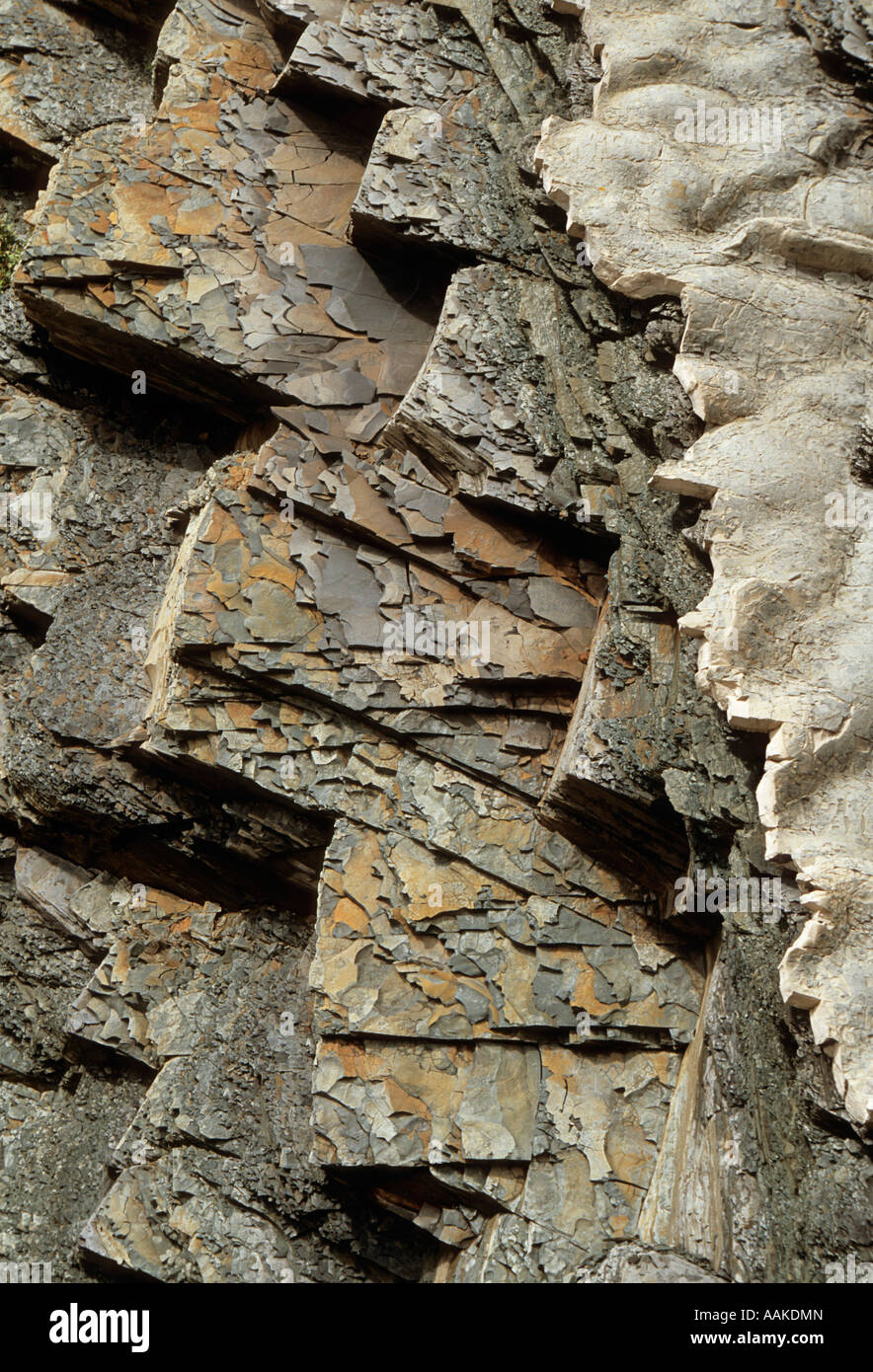 Shale Limestone High Resolution Stock Photography and Images - Alamy