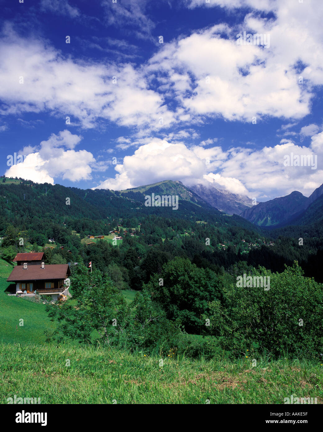 Gryon switzerland hi-res stock photography and images - Alamy