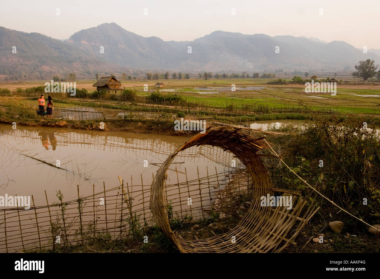 Landscape fields and mountains near Ou Thai Phongsaly province Laos ...