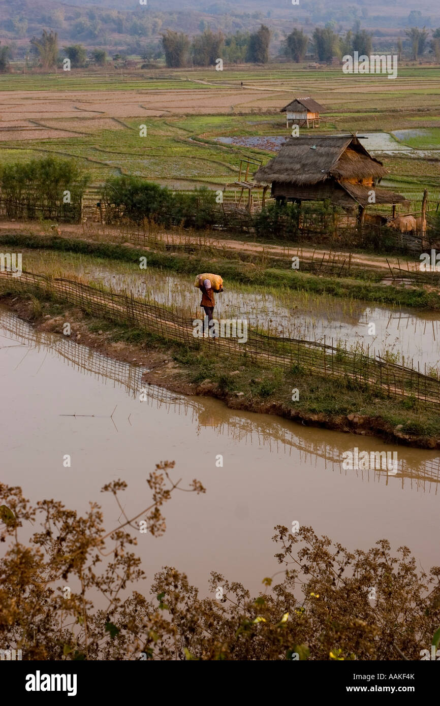 Landscape fields and mountains near Ou Thai Phongsaly province Laos ...