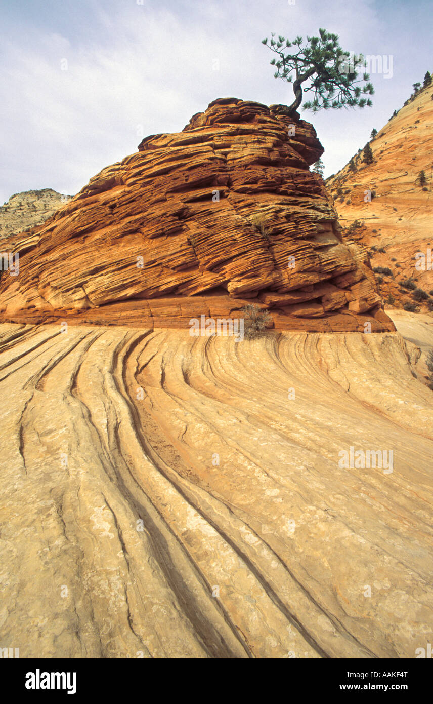 Sandstone formations Zion National Park Utah Stock Photo - Alamy
