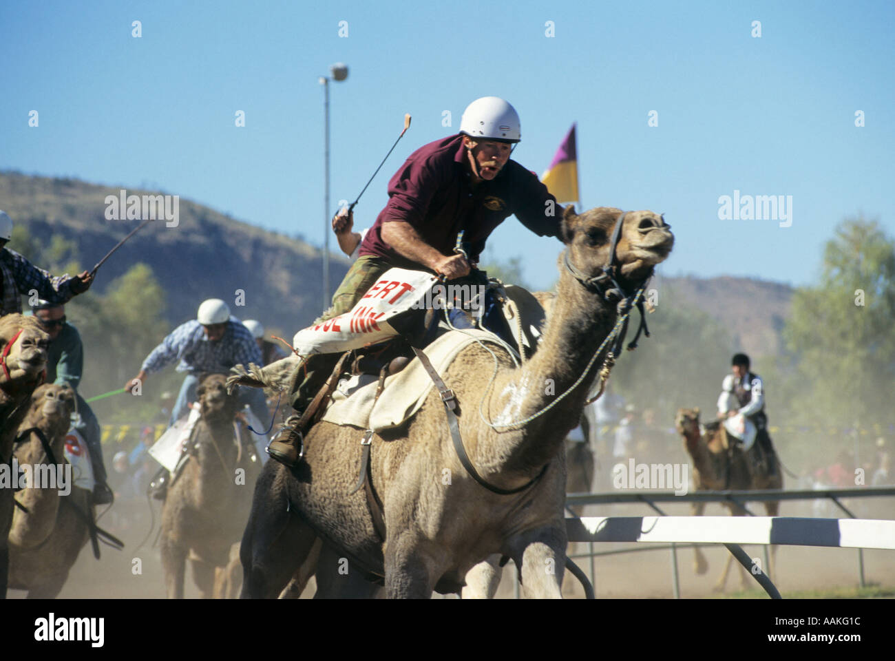 Camel racing Alice Springs Australia Stock Photo - Alamy