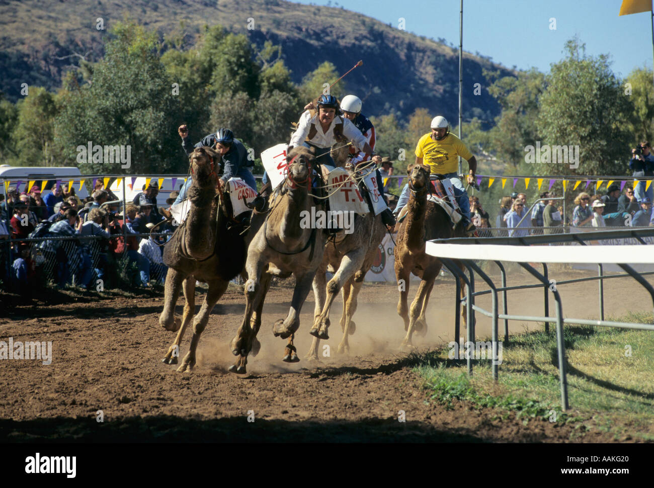 Camel racing Alice Springs Australia Stock Photo - Alamy