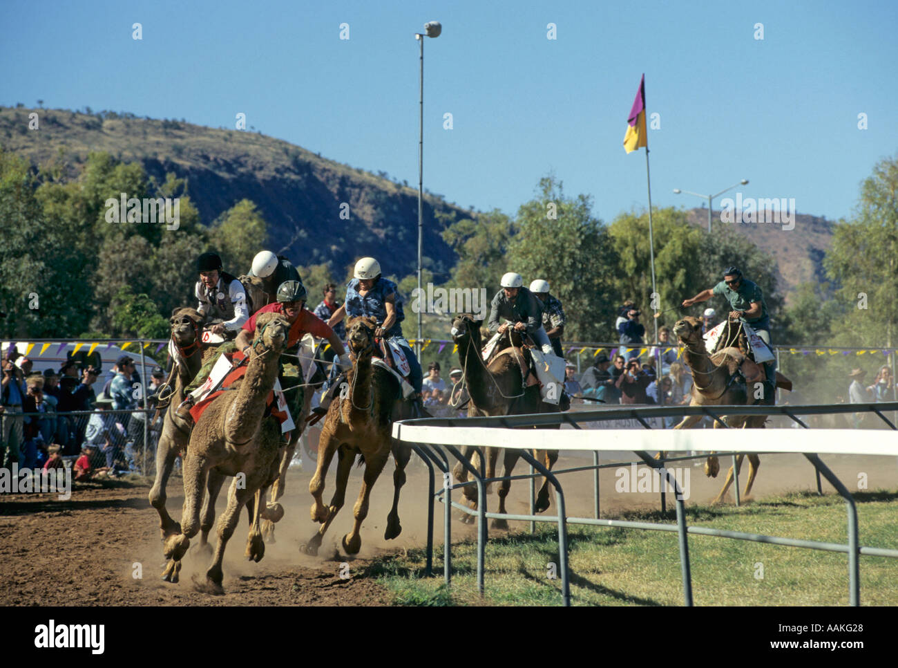 Camel racing Alice Springs Australia Stock Photo - Alamy