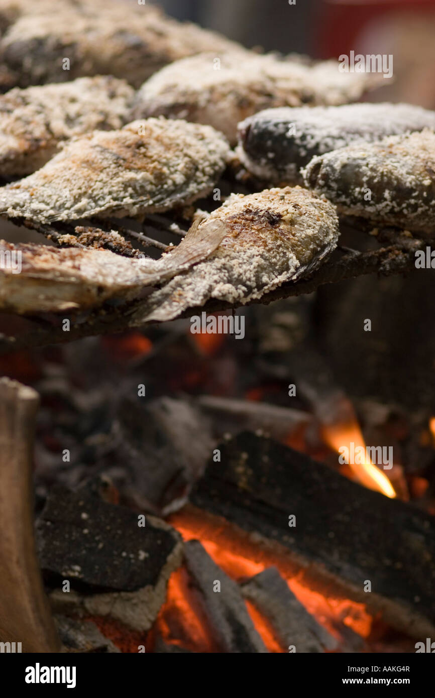 Grilling fish Kong Lor village Laos Stock Photo - Alamy