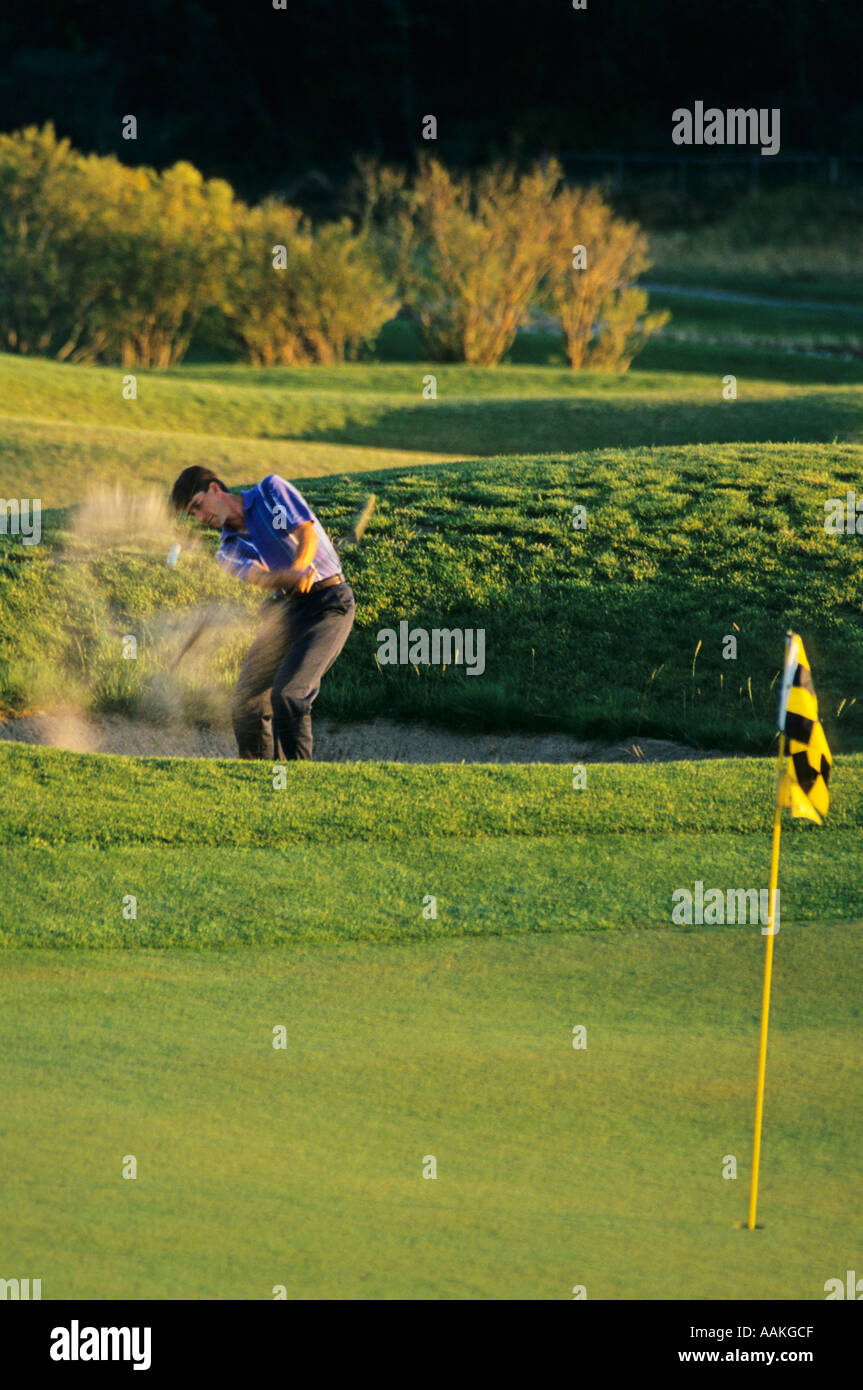 Golfer hitting from sand trap Stock Photo - Alamy