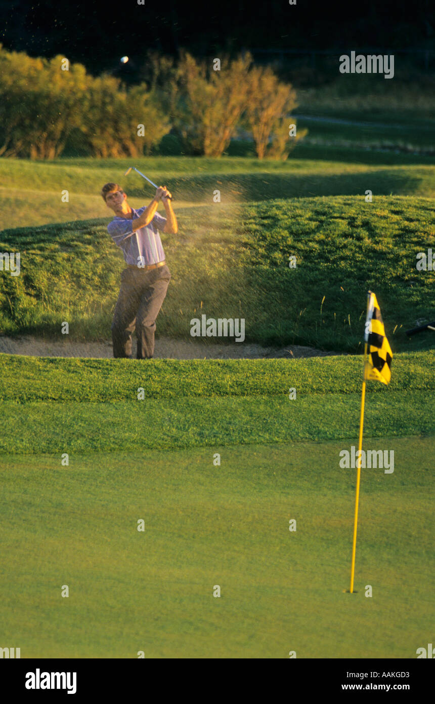 Golfer hitting from sand trap Stock Photo - Alamy