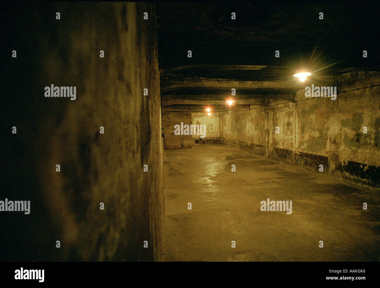 Auschwitz gas chamber hi-res stock photography and images - Alamy