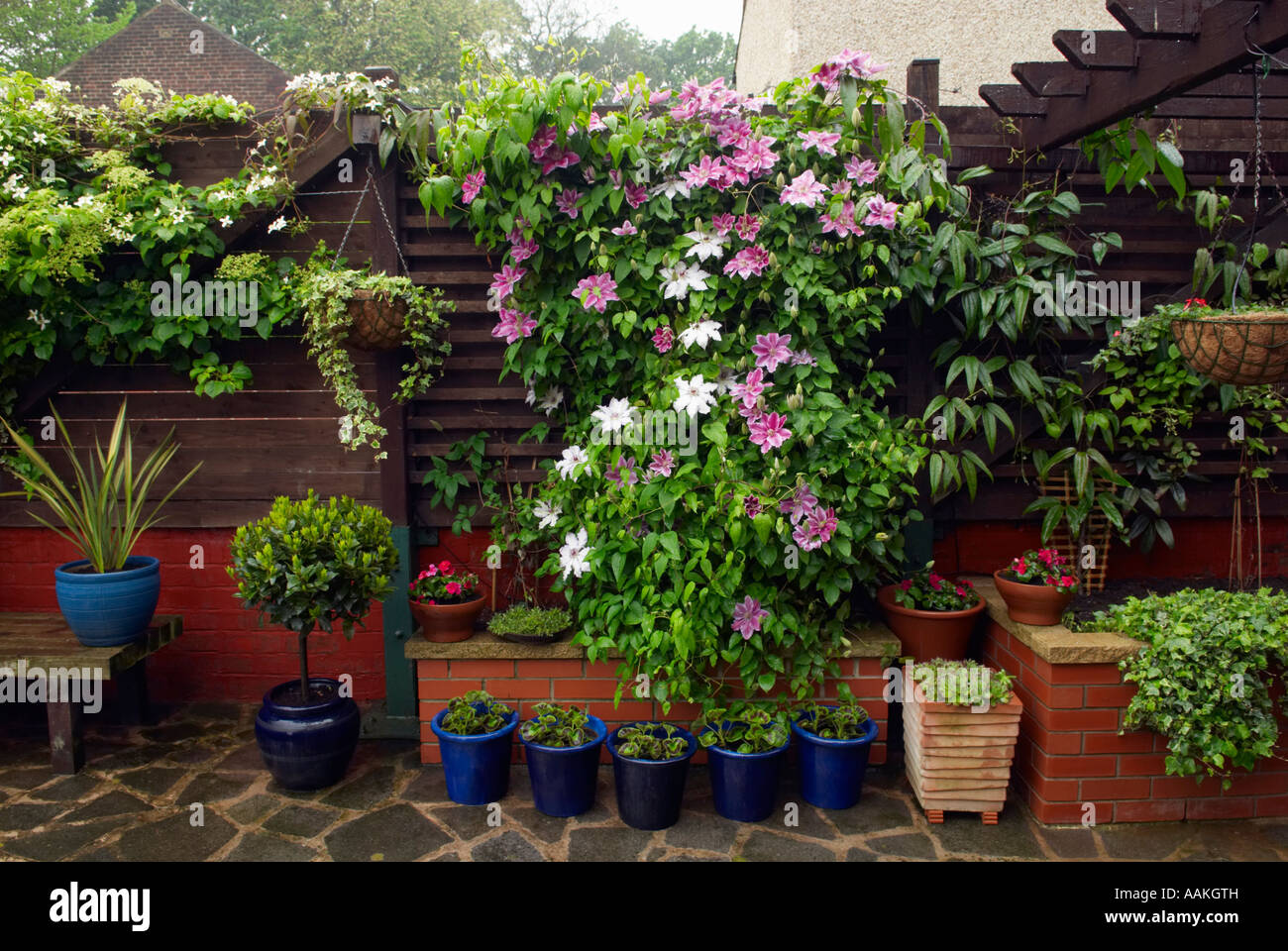 Lush Garden with "crazy paving" patio and plants Stock Photo - Alamy