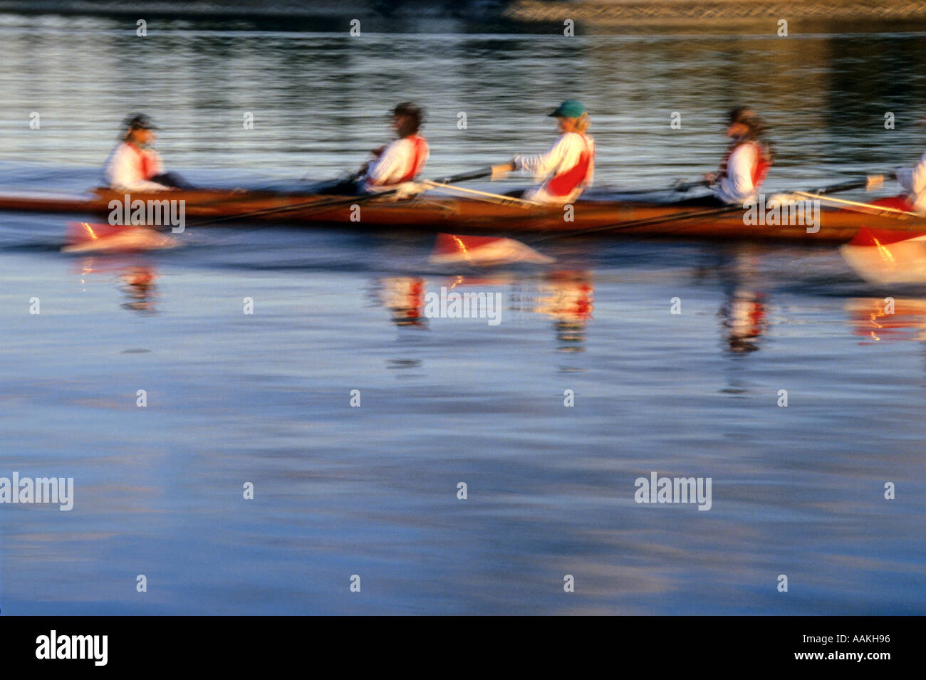 Female rowing team Stock Photo - Alamy