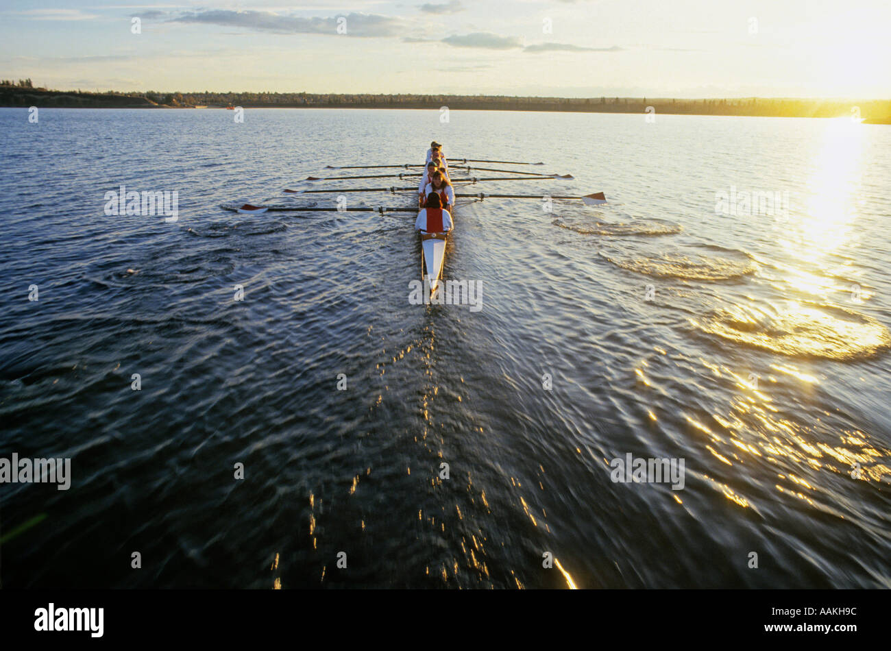 Female rowing team Stock Photo - Alamy