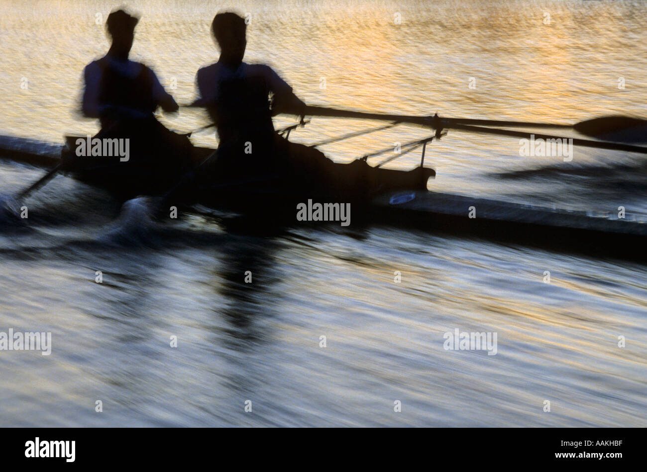 Male rowing team Stock Photo - Alamy