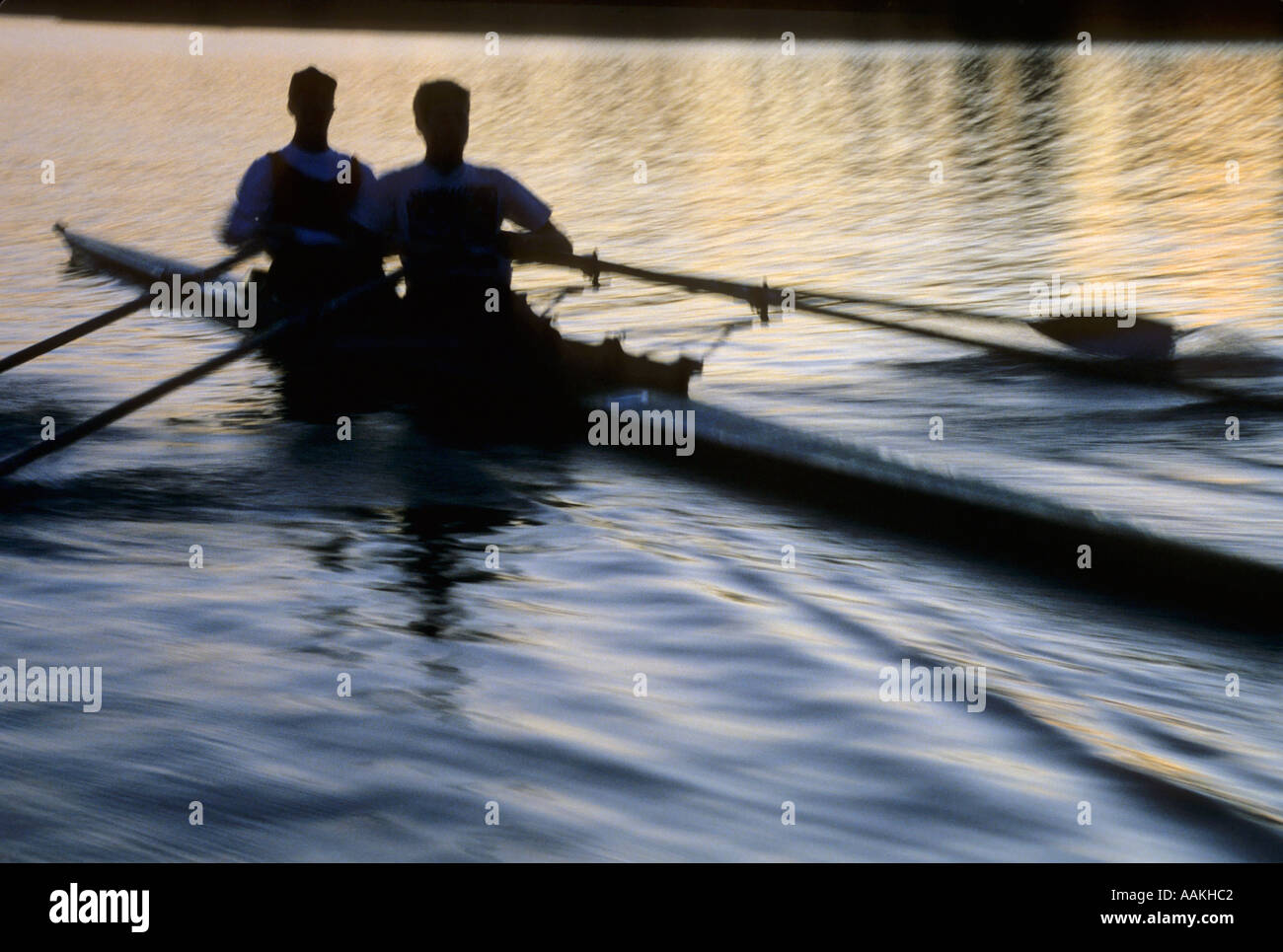 Male rowing team Stock Photo - Alamy