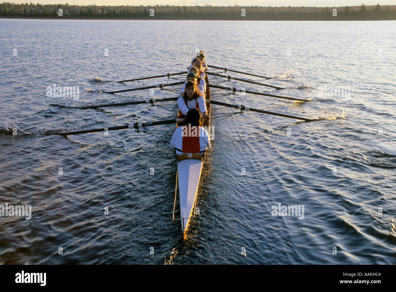 Womans rowing team Stock Photo - Alamy