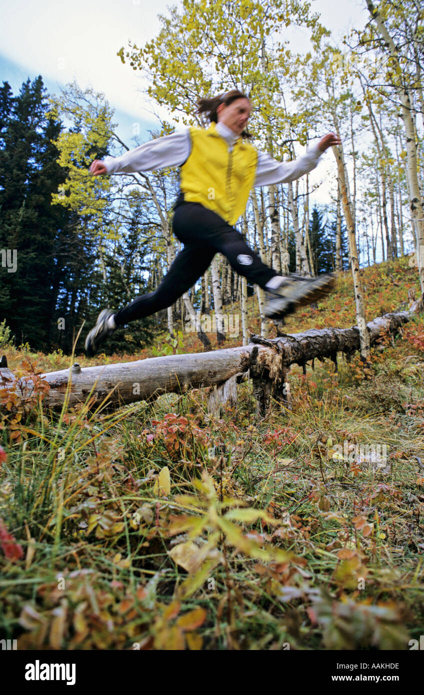 Log ou hi-res stock photography and images - Alamy