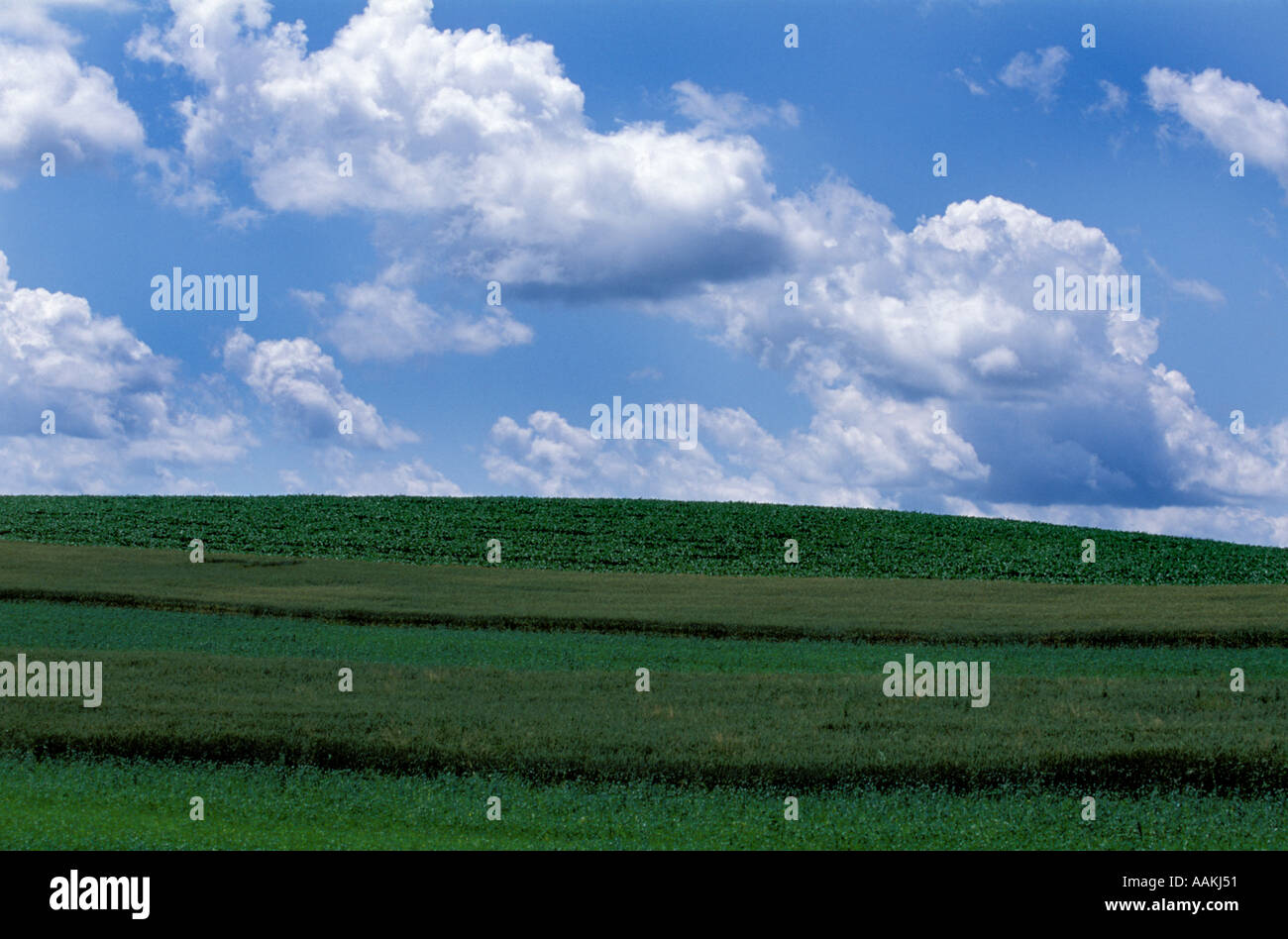 Green fields layer hi-res stock photography and images - Alamy