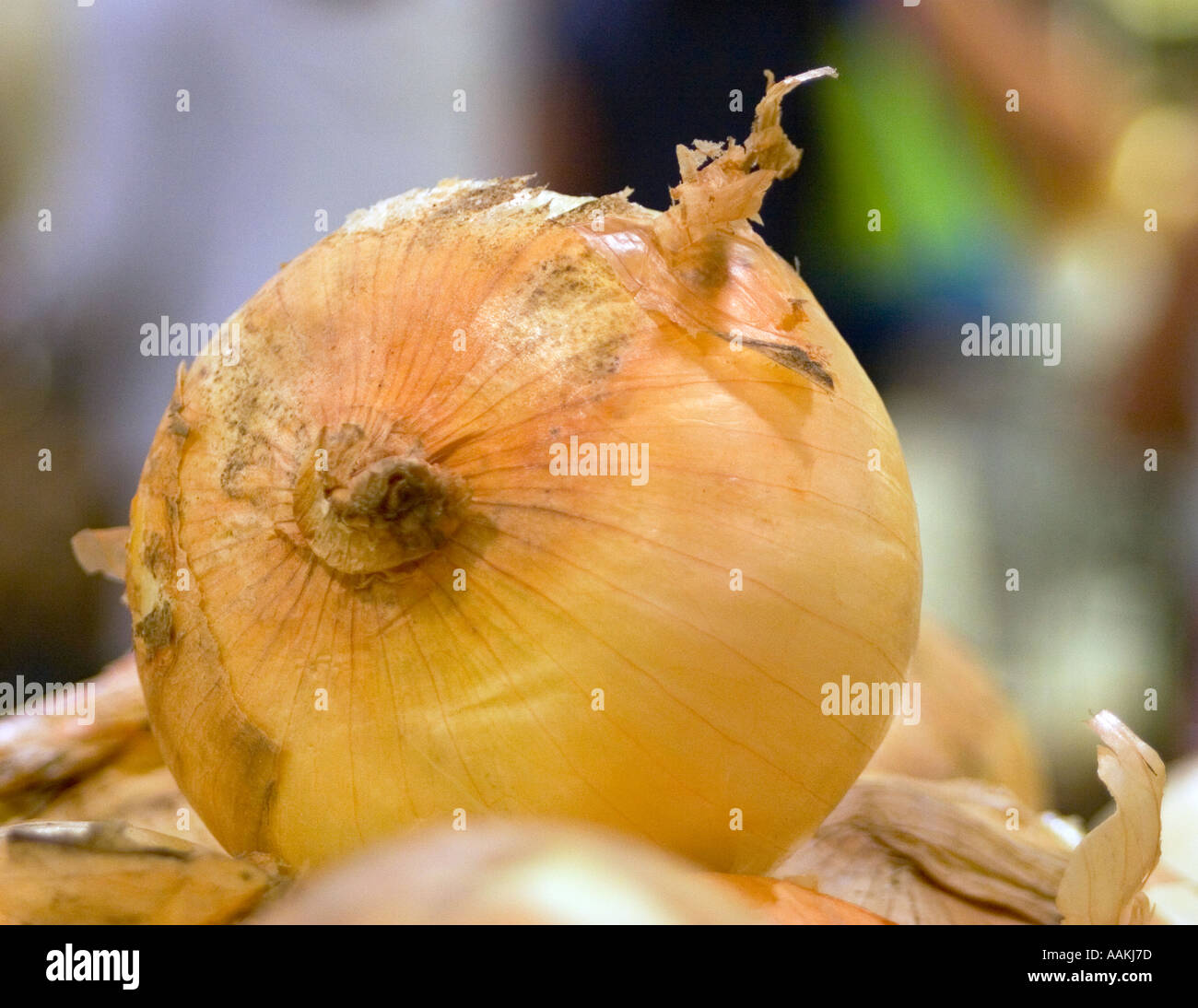 Georgia vidalia onion hi-res stock photography and images - Alamy