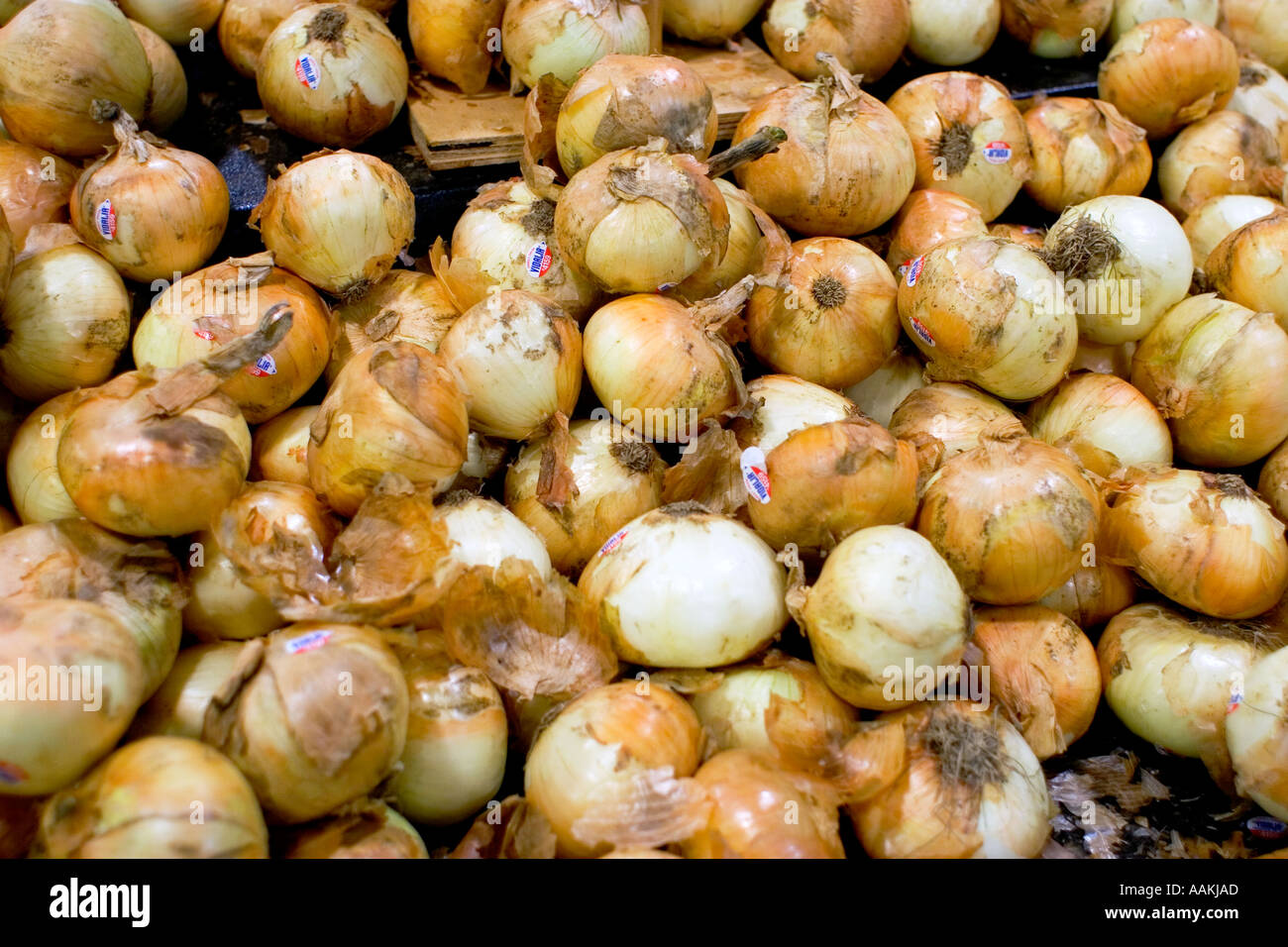 Georgia vidalia onions hi-res stock photography and images - Alamy