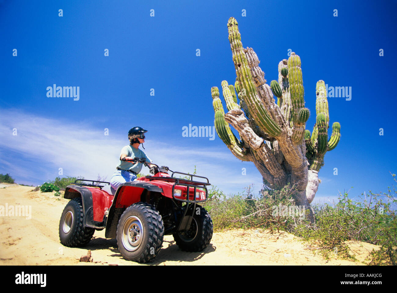 1990s mexico vacation hi-res stock photography and images - Alamy