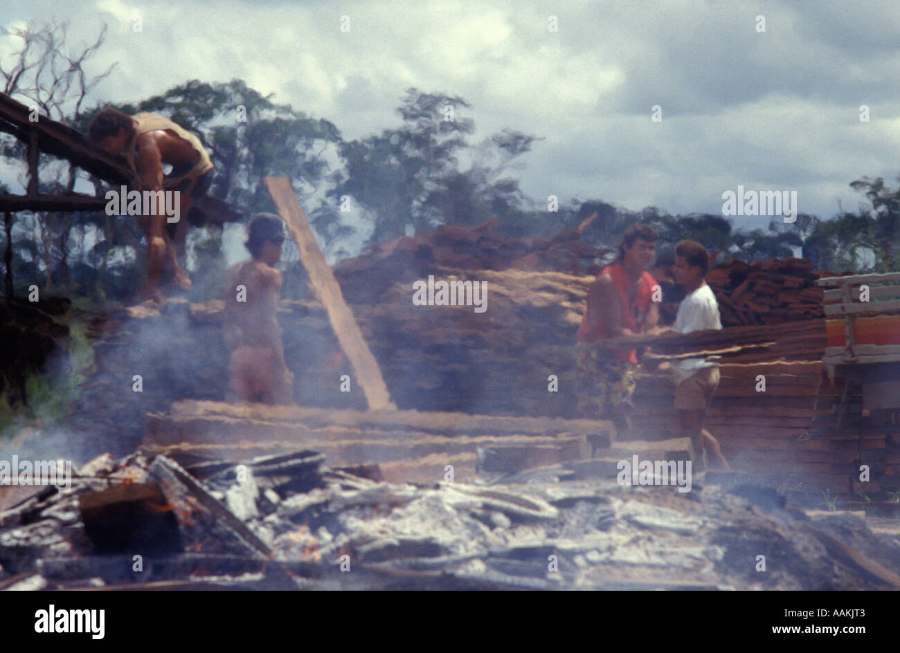 Workers at logging industry, Amazon rainforest, Brazil Stock Photo - Alamy