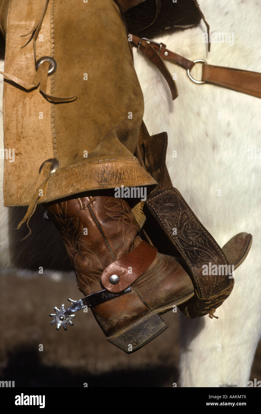 1980s WESTERN COWBOY BOOT SPUR STIRRUP CHAPS WHITE HORSE Stock Photo ...