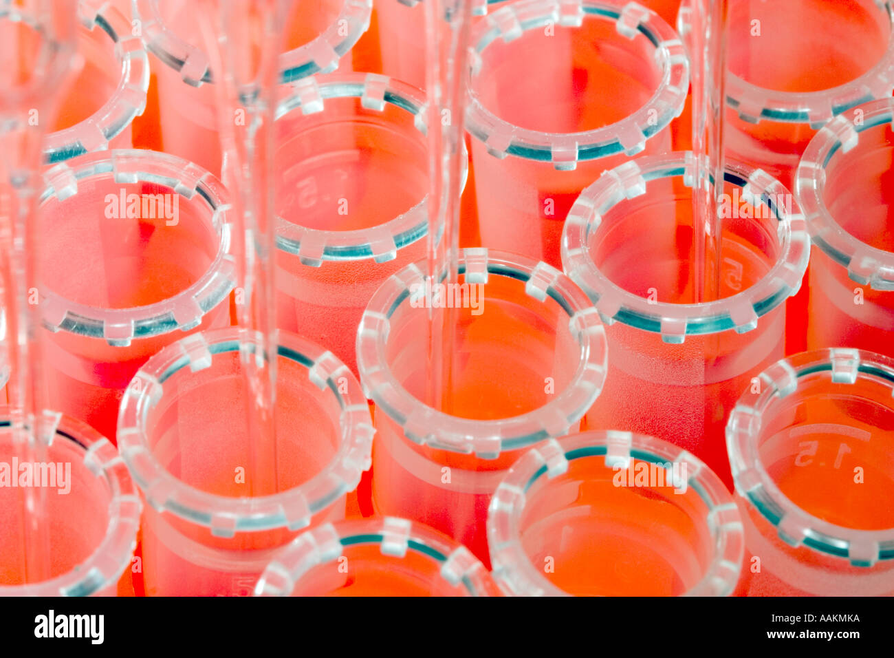 Research many row plastic hi-res stock photography and images - Alamy