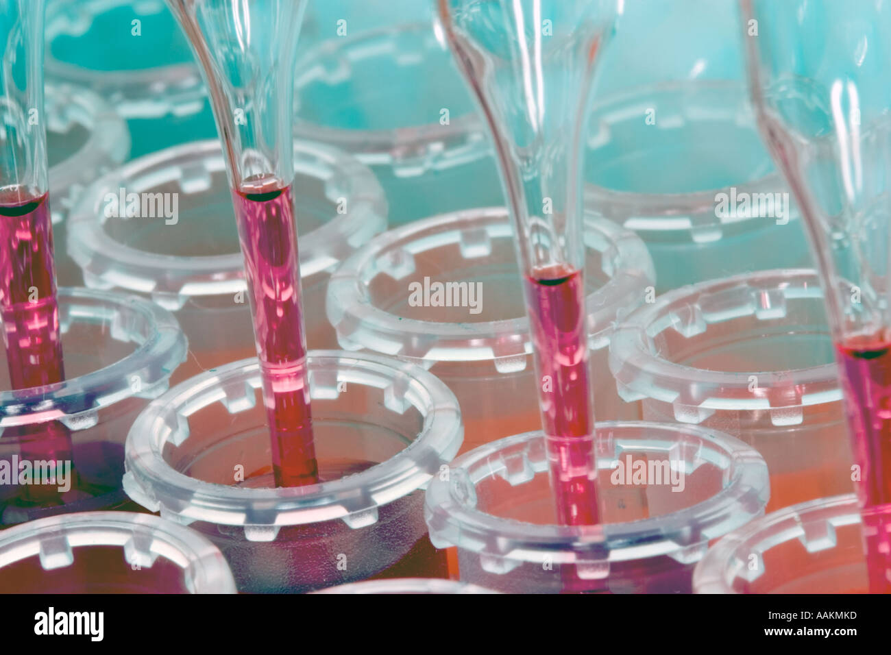 Research many row plastic hi-res stock photography and images - Alamy