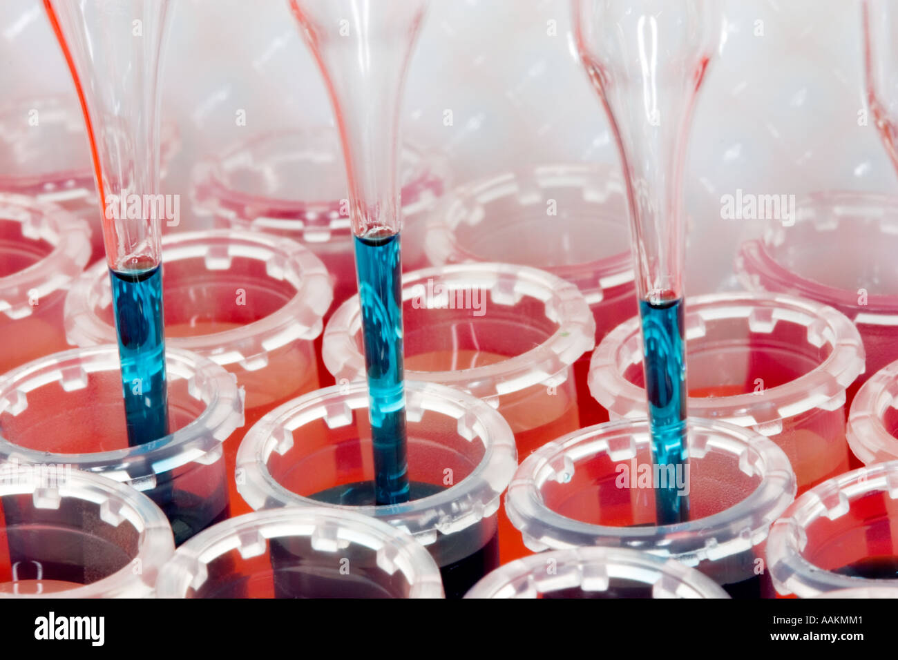 Close up sampling tubes with blue liquid in small sample vials Stock ...