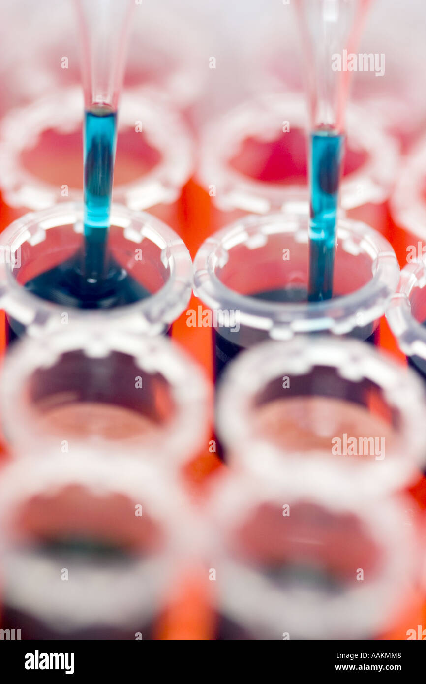 Close up sampling tubes with blue liquid in small sample vials Stock ...