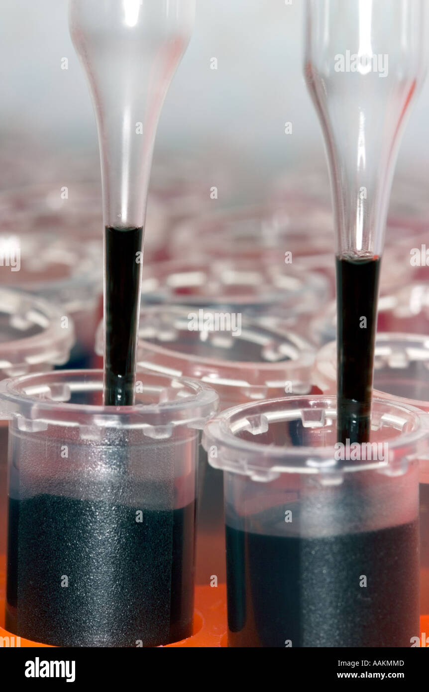 Close up sampling tubes with black liquid in small sample vials Stock ...