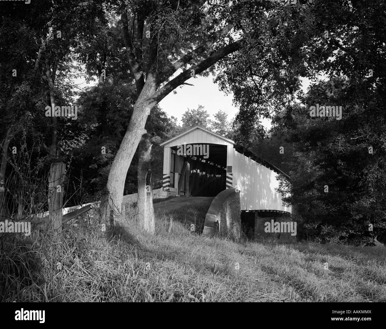 Bridge in wooded area hi-res stock photography and images - Alamy