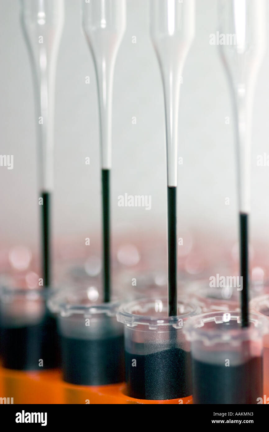 Close up sampling tubes with black liquid in small sample vials Stock ...