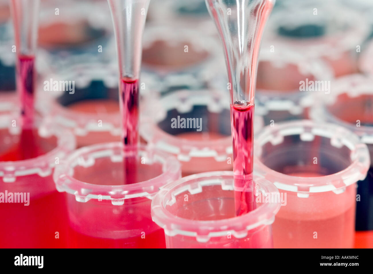 Research many row plastic hi-res stock photography and images - Alamy