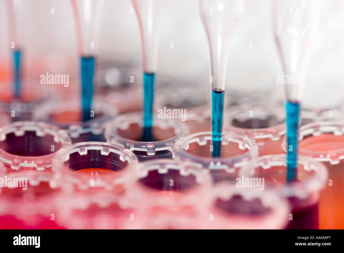 Close up sampling tubes with blue liquid in small sample vials Stock ...