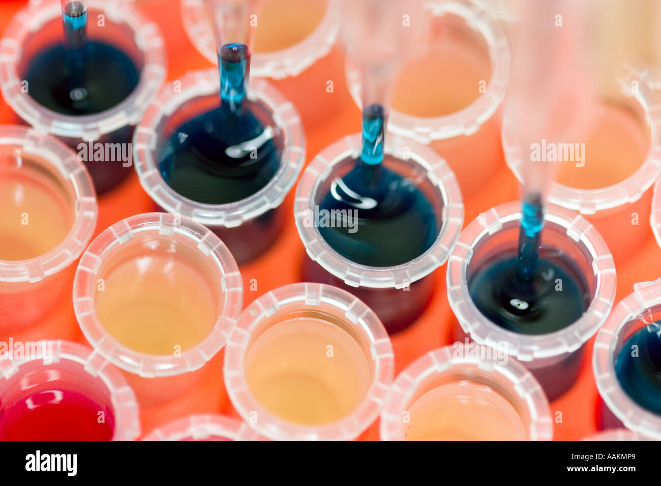 Close up sampling vials with multi coloured liquids Stock Photo - Alamy
