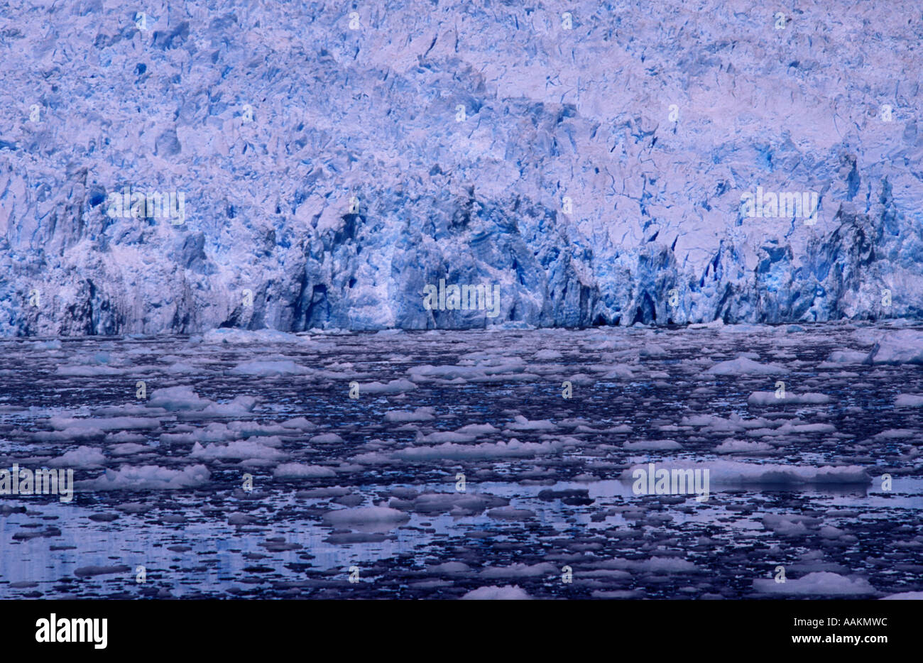 Laguna San Rafael, Chile Stock Photo - Alamy