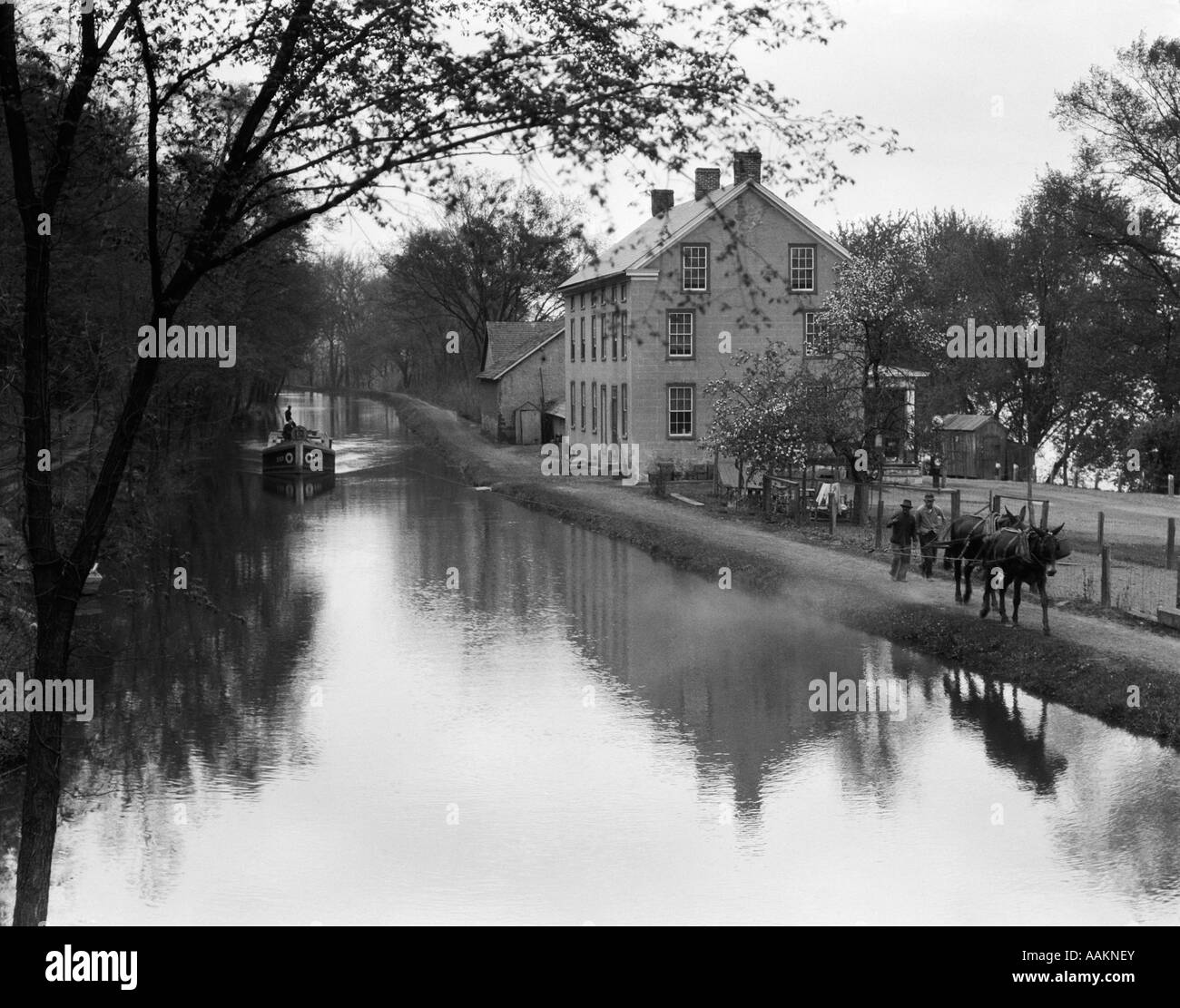 Mule barge Black and White Stock Photos & Images - Alamy