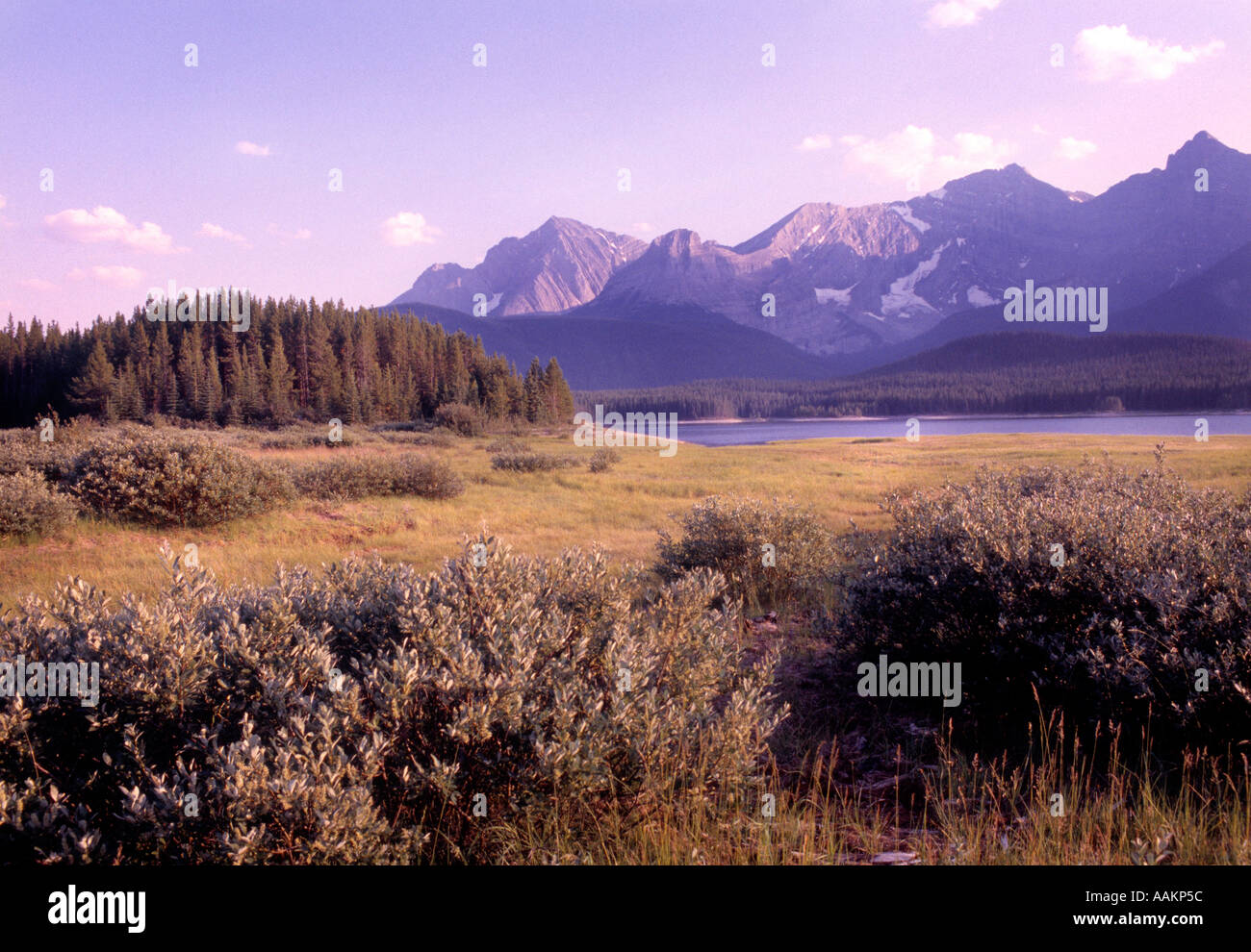 mountain range and meadow Kananaskis Country Alberta Canada Stock Photo ...