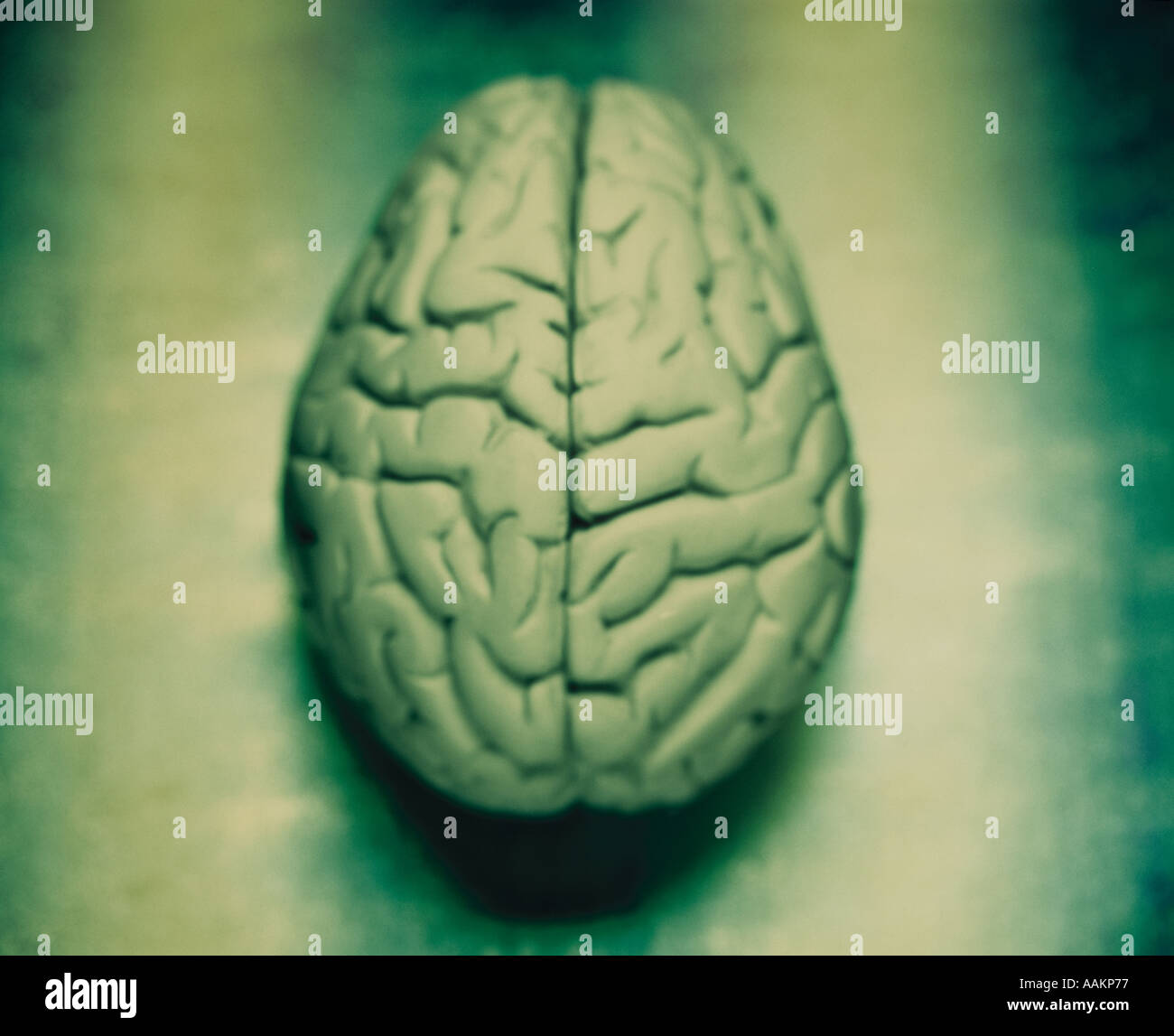 Human wits hi-res stock photography and images - Alamy