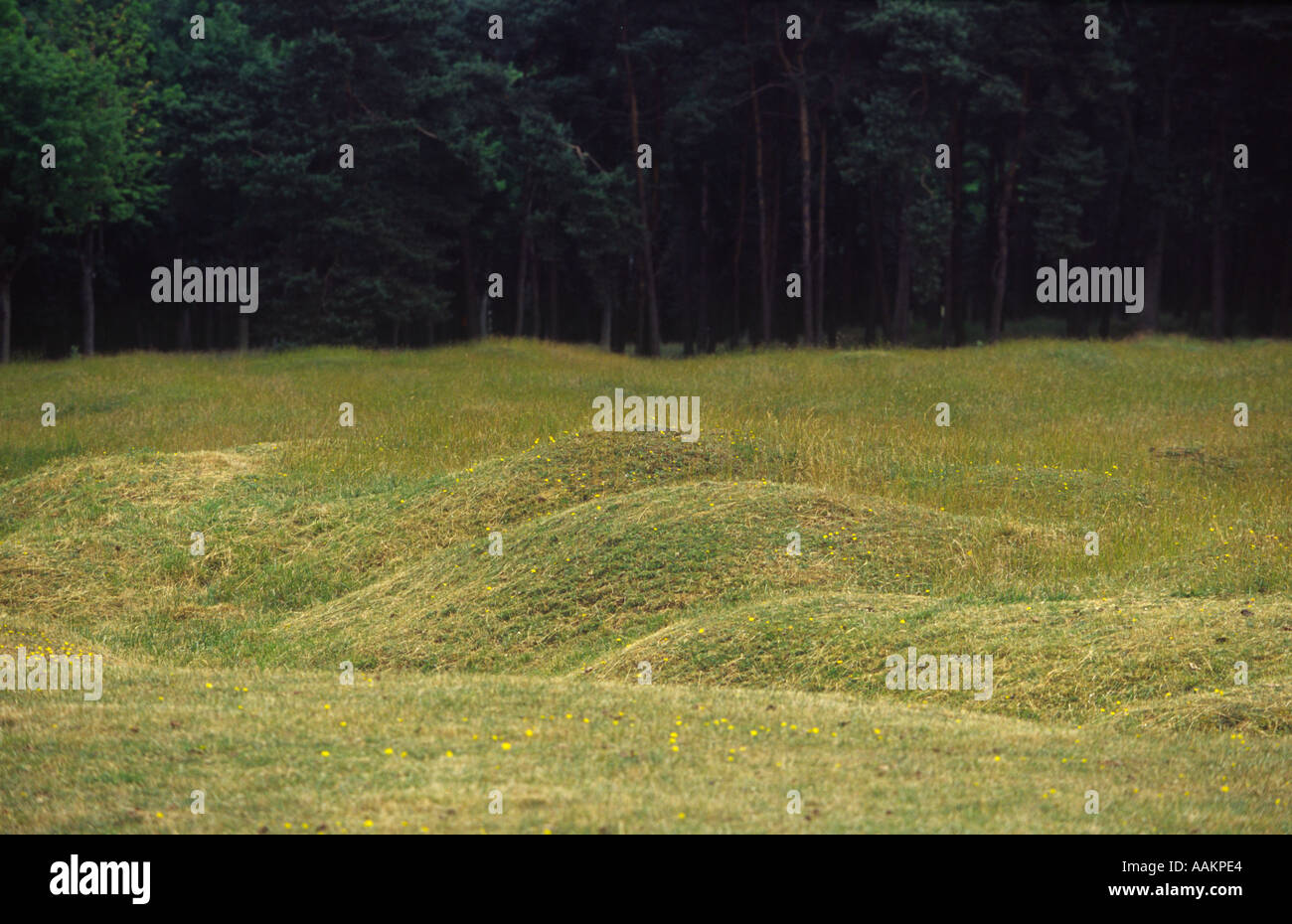 Scarred land hi-res stock photography and images - Alamy