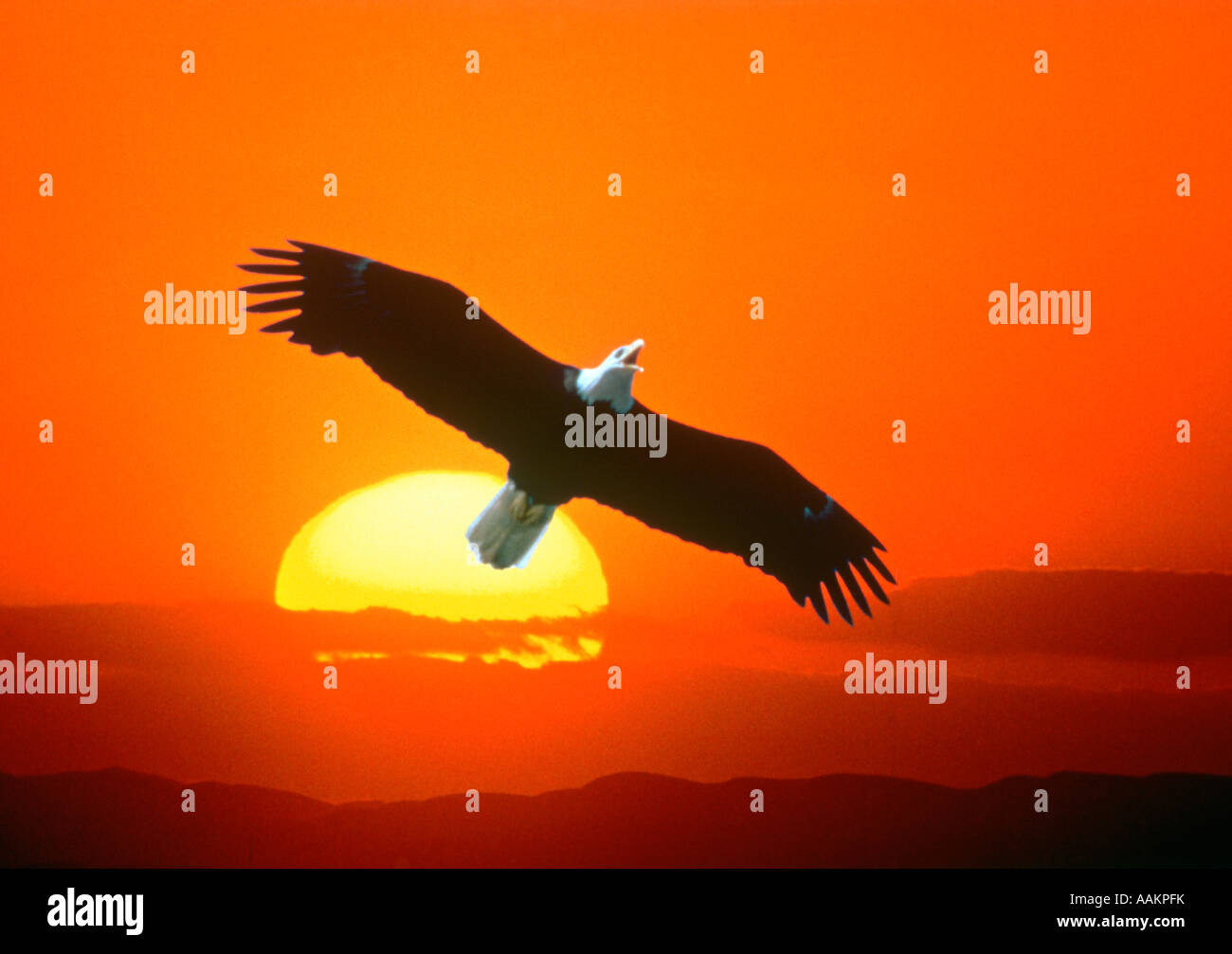 Cm006723 hi-res stock photography and images - Alamy