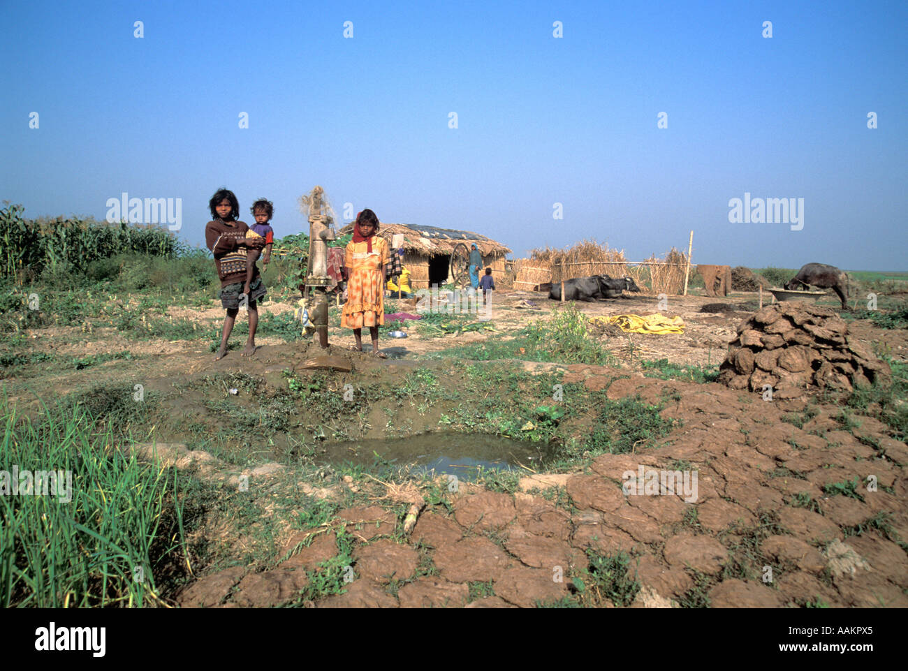 Rural Life – Communities Rely on Hand Tube Wells for their Safe Water ...
