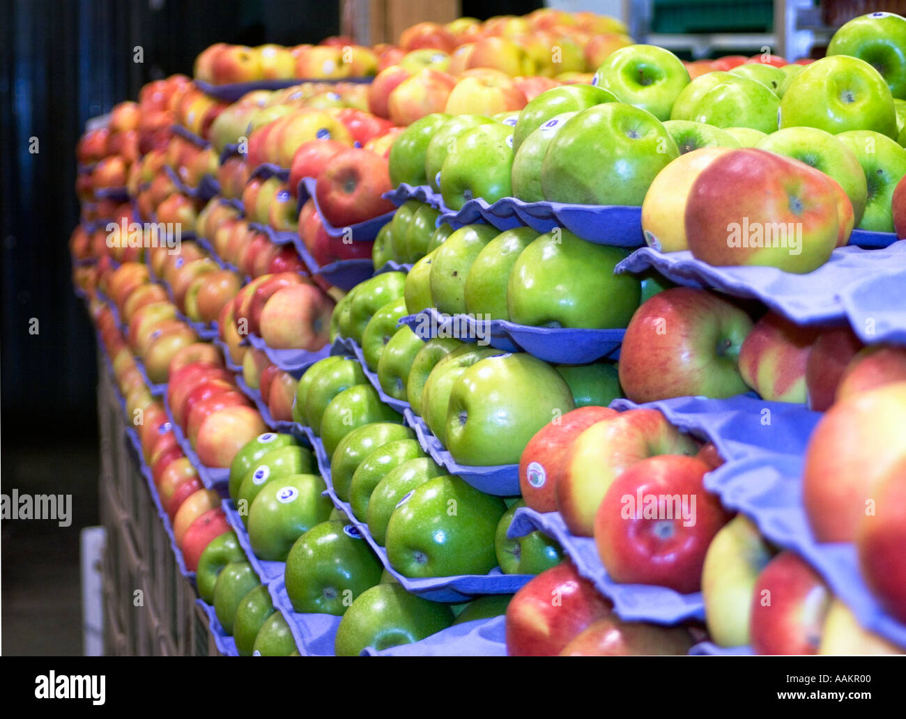apples pome pomology Stock Photo - Alamy