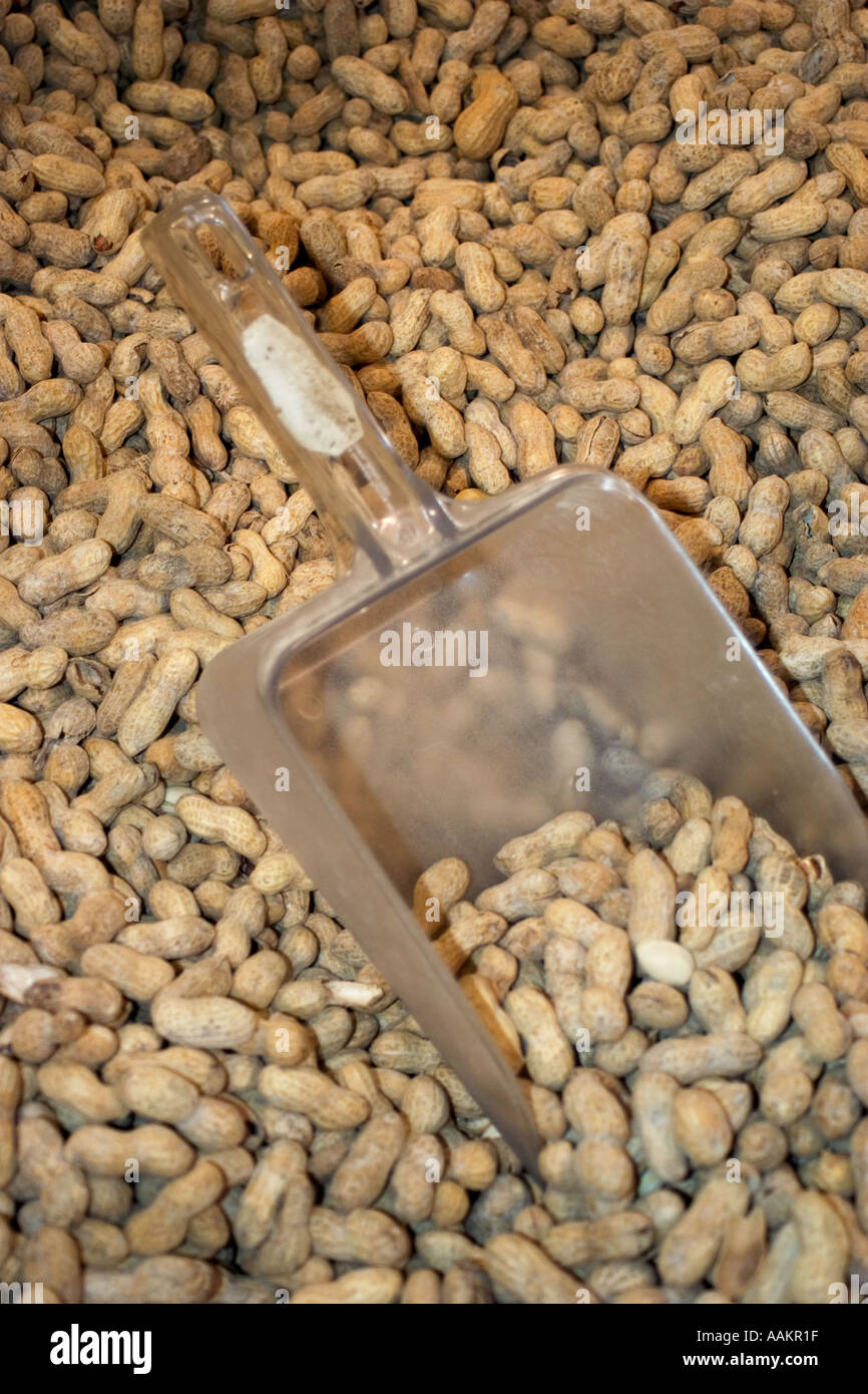 Georgia Peanuts with Scoop view color cuisine culinary fresh green ...