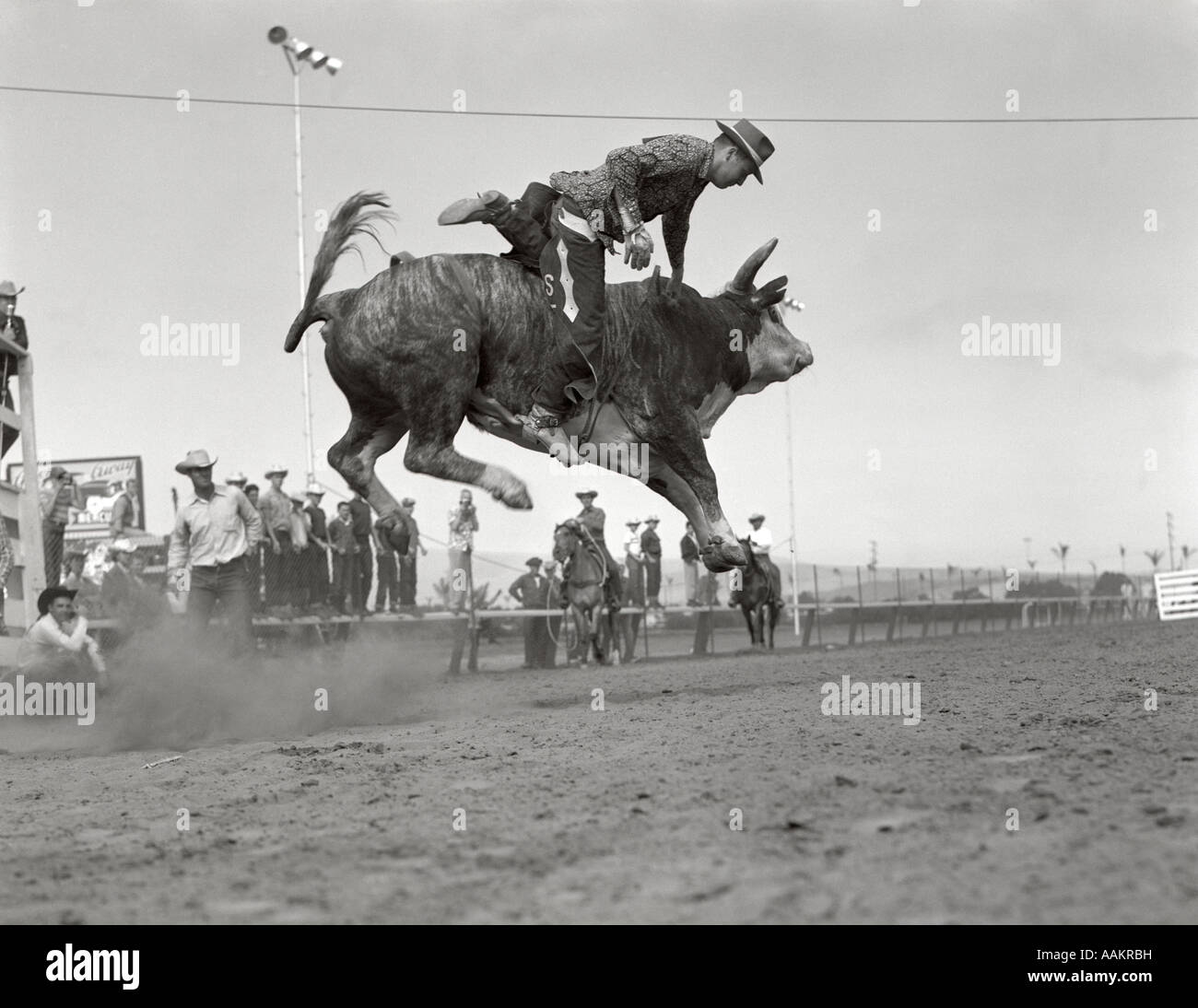 Rider falling off horse hi-res stock photography and images - Alamy